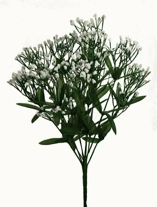 SBX2023 – Wrapped stem white gyp bush x14 - NSENET