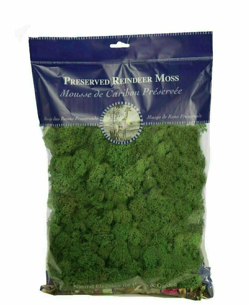 21757 – 1/2 lb bag Forest green reindeer Moss-“each” Min 1 box – Case ...