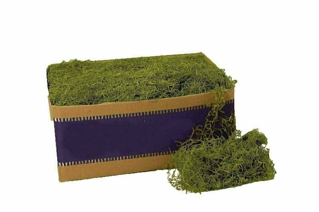 26927 – 3 lb bulk preserved Green spanish moss-“Box” Min 1 box - NSENET