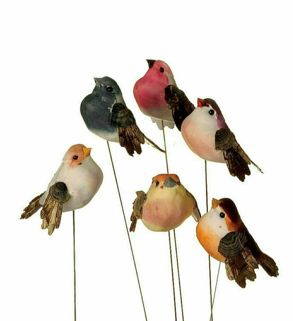 Pick Accents - NSENET