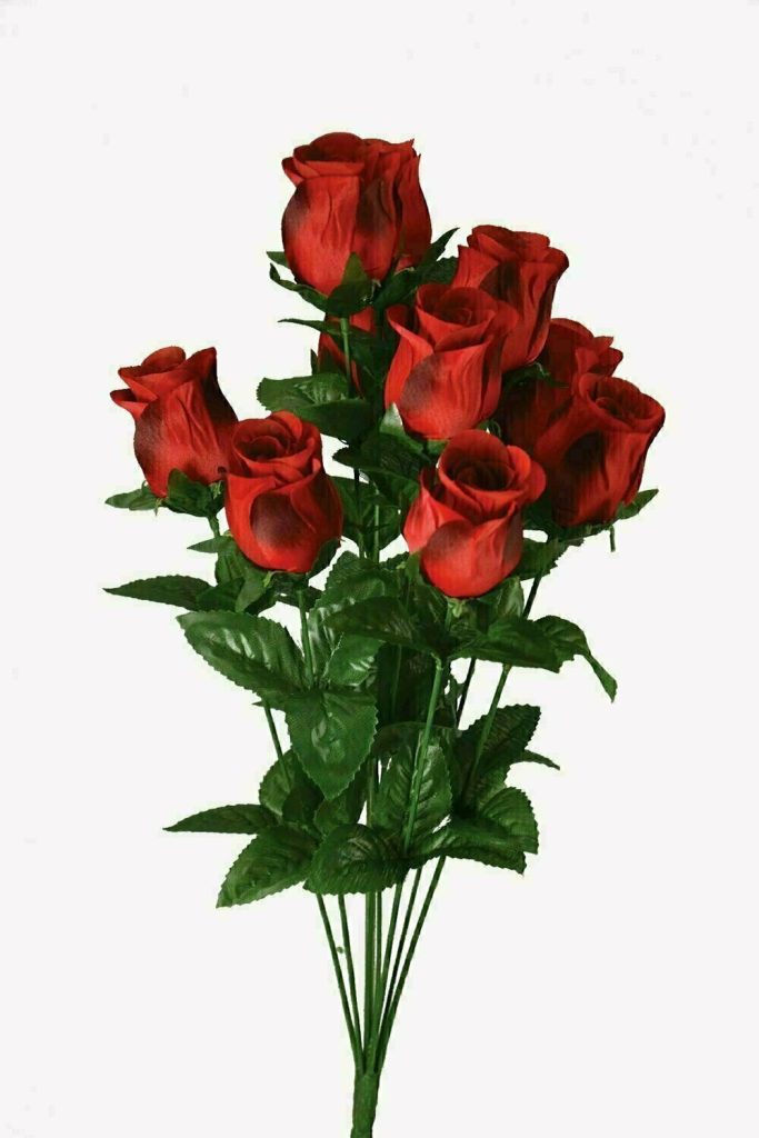 Current Specials - NSENET