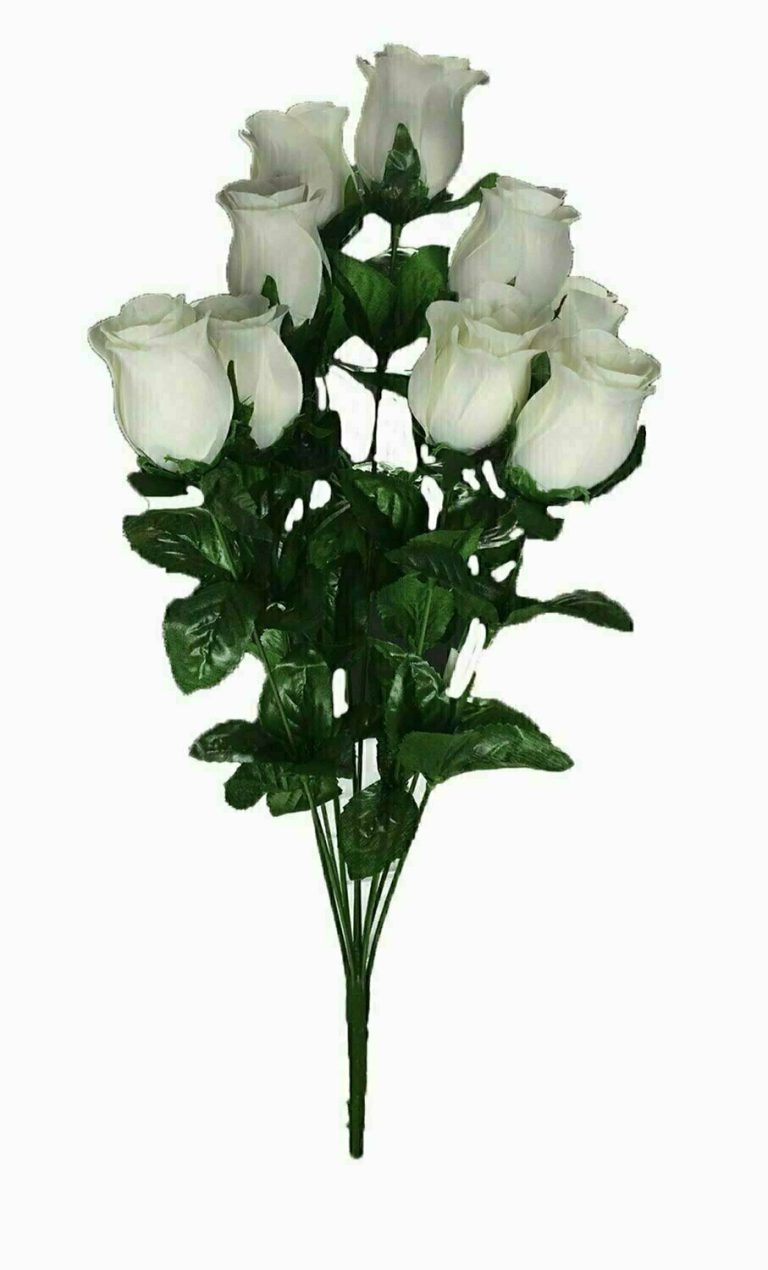 Current Specials - NSENET