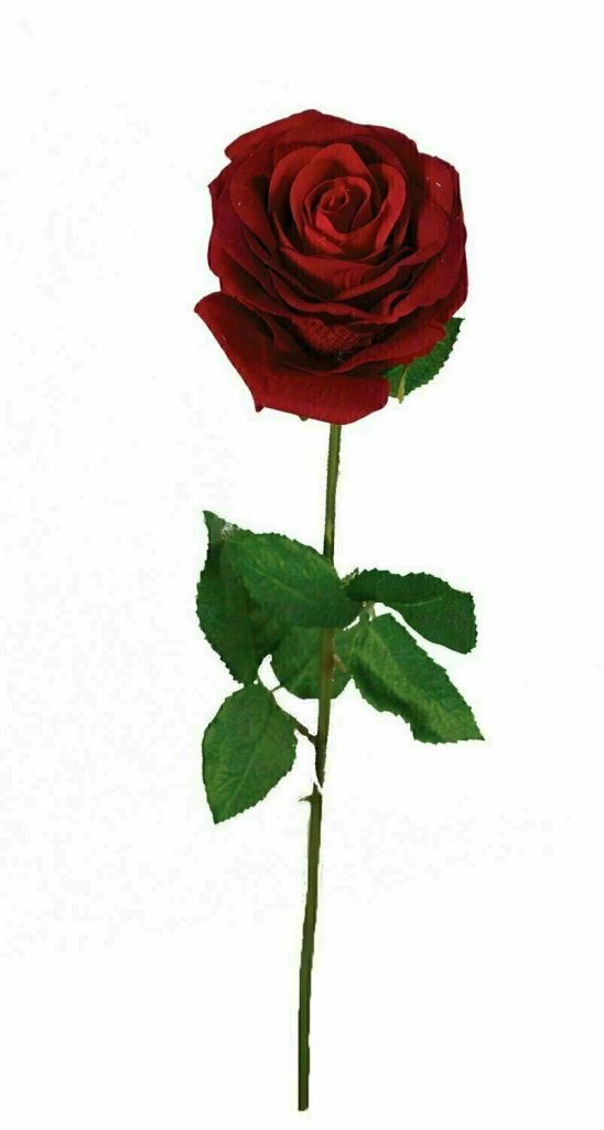 Floral Stems - NSENET