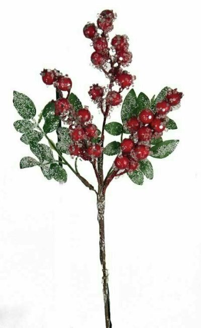 Berries/Picks/Sprays - NSENET